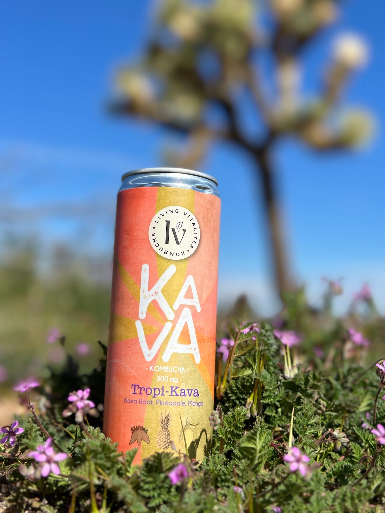 Kava: An Ancient Elixir for Modern Stress Relief – Living Vitalitea ...